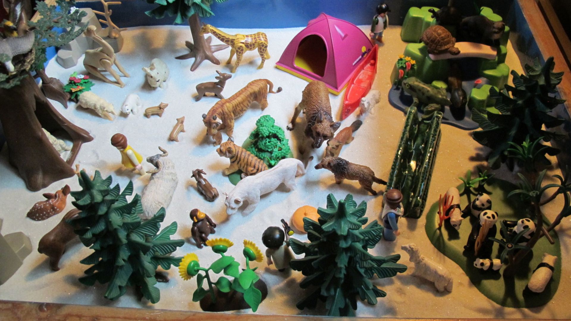 My Journey with the Satir Model and How it led to Neuroscience and ...